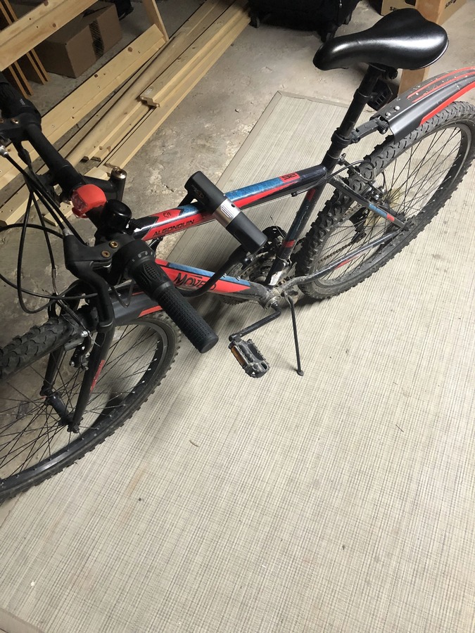 2020 Movelo