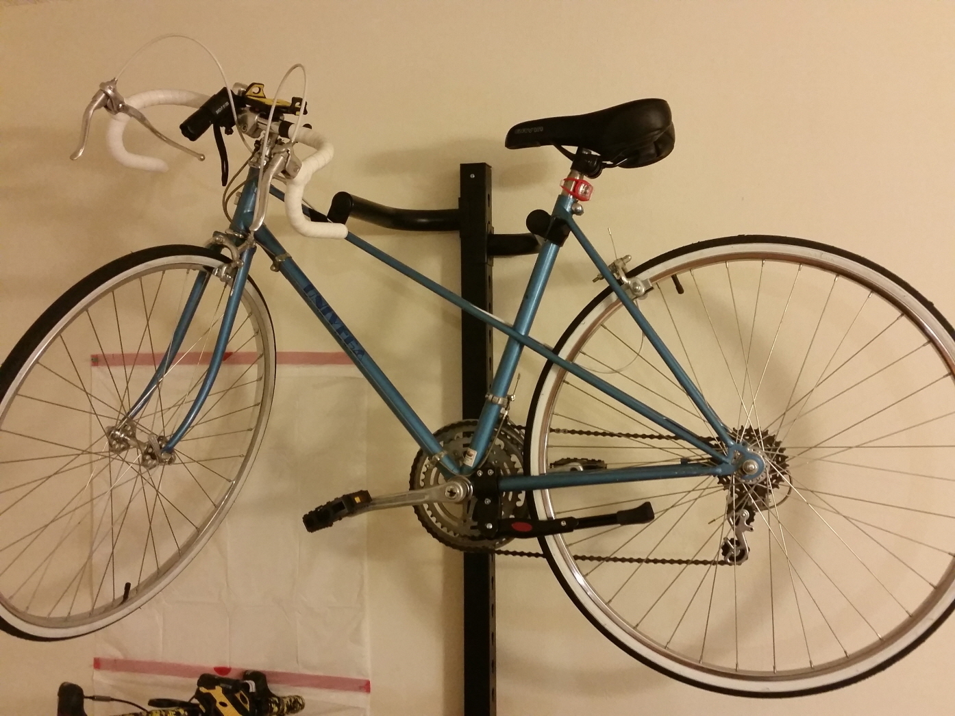 Univega Custom Maxima