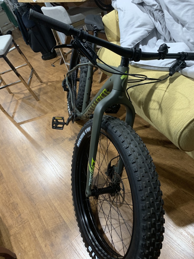 2020 Specialized Fatboy
