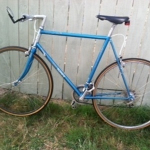 Raleigh Technium 440