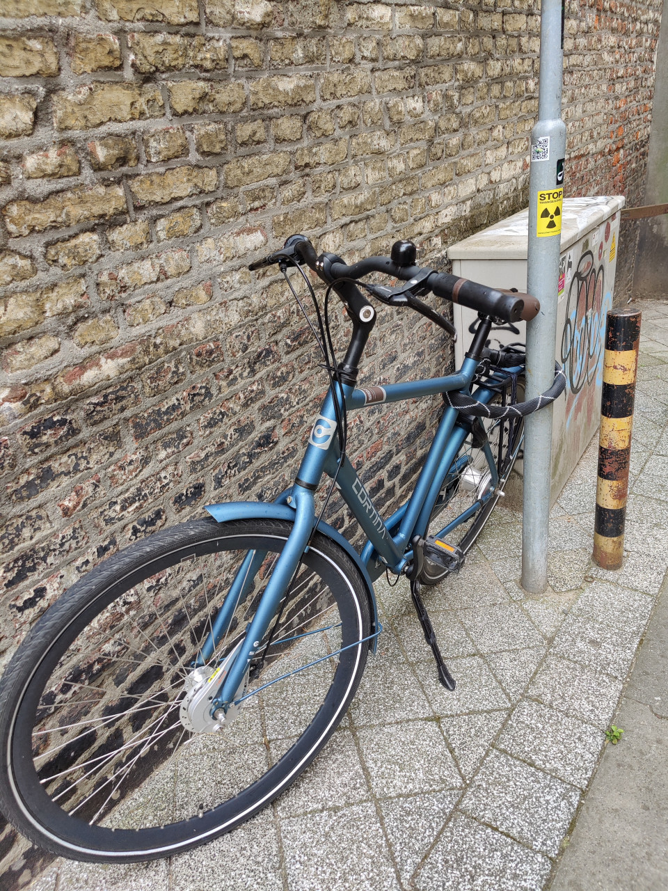 Cortina Cycles Speed