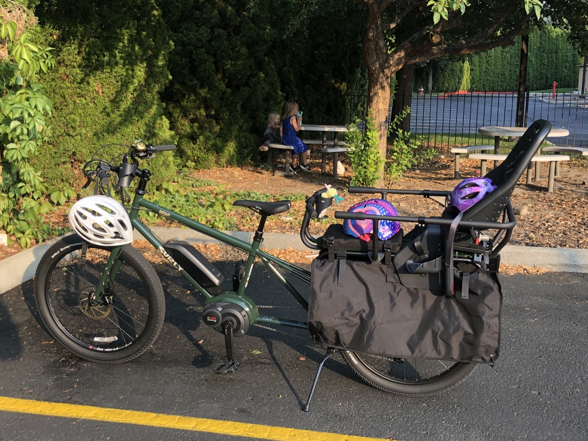 2020 Surly Big Easy cargo bike rear