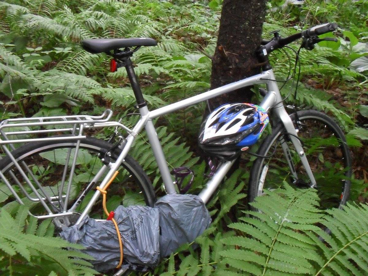 2017 Trek FX 4 Sport