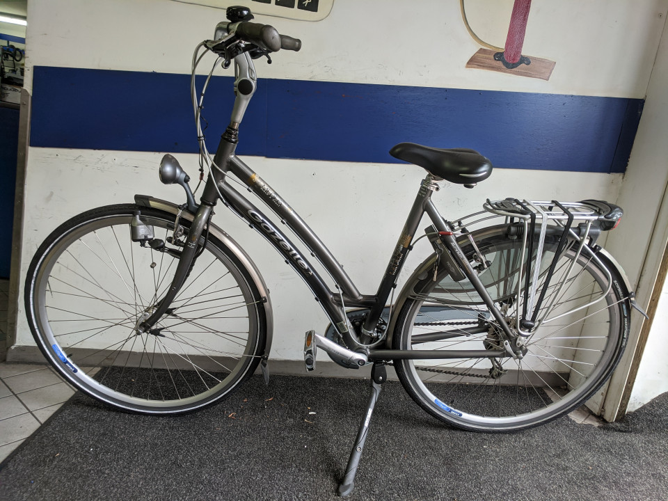 Gazelle Medeo Track and Trail