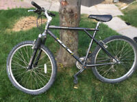 GT Bicycles Talera