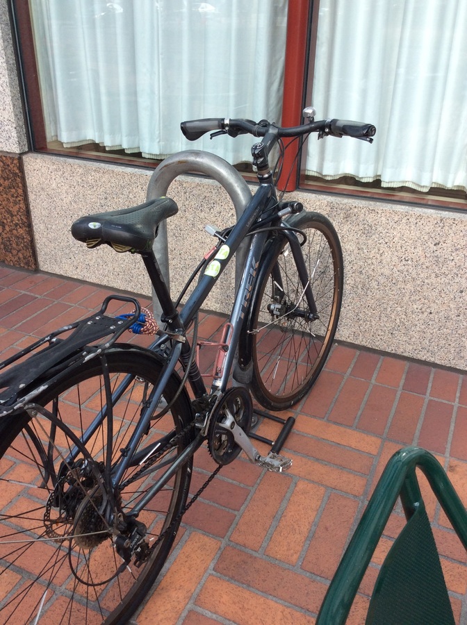 2008 Trek Valencia