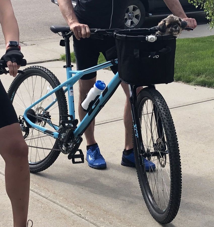 2019 GT Bicycles GT Avalanche Sport 29/27.5 Men's Moun...