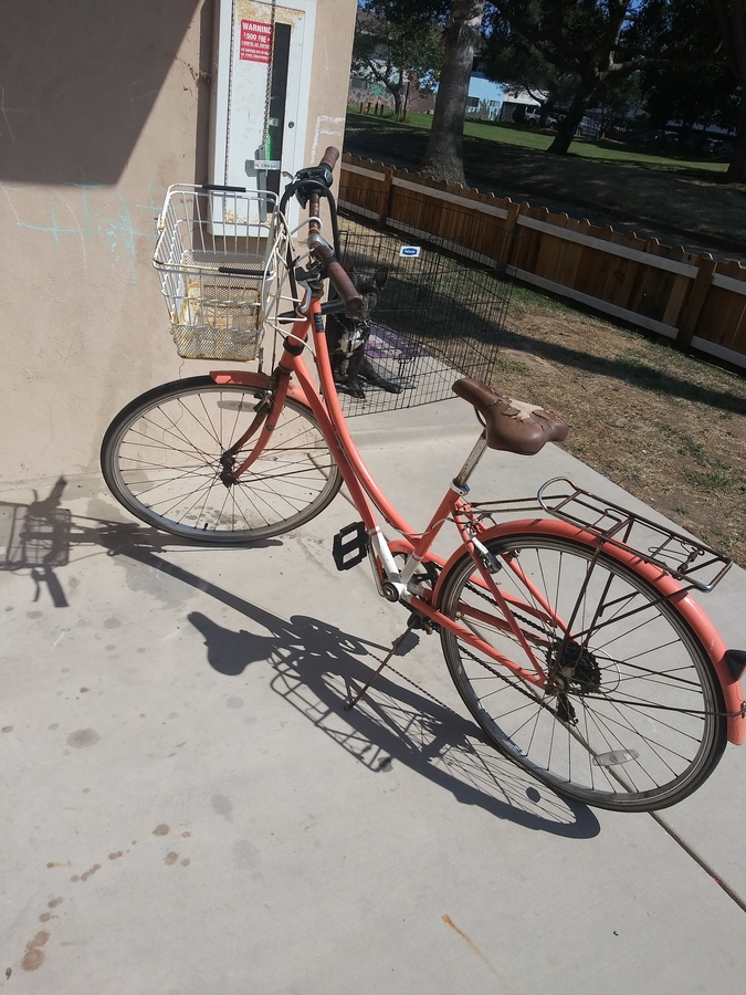 Critical Cycles Female Beach cruiser