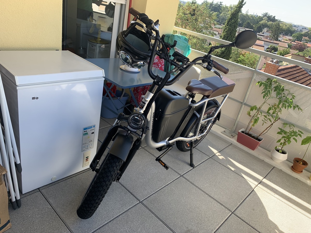 2020 Rad Power Bikes Radrunner plus