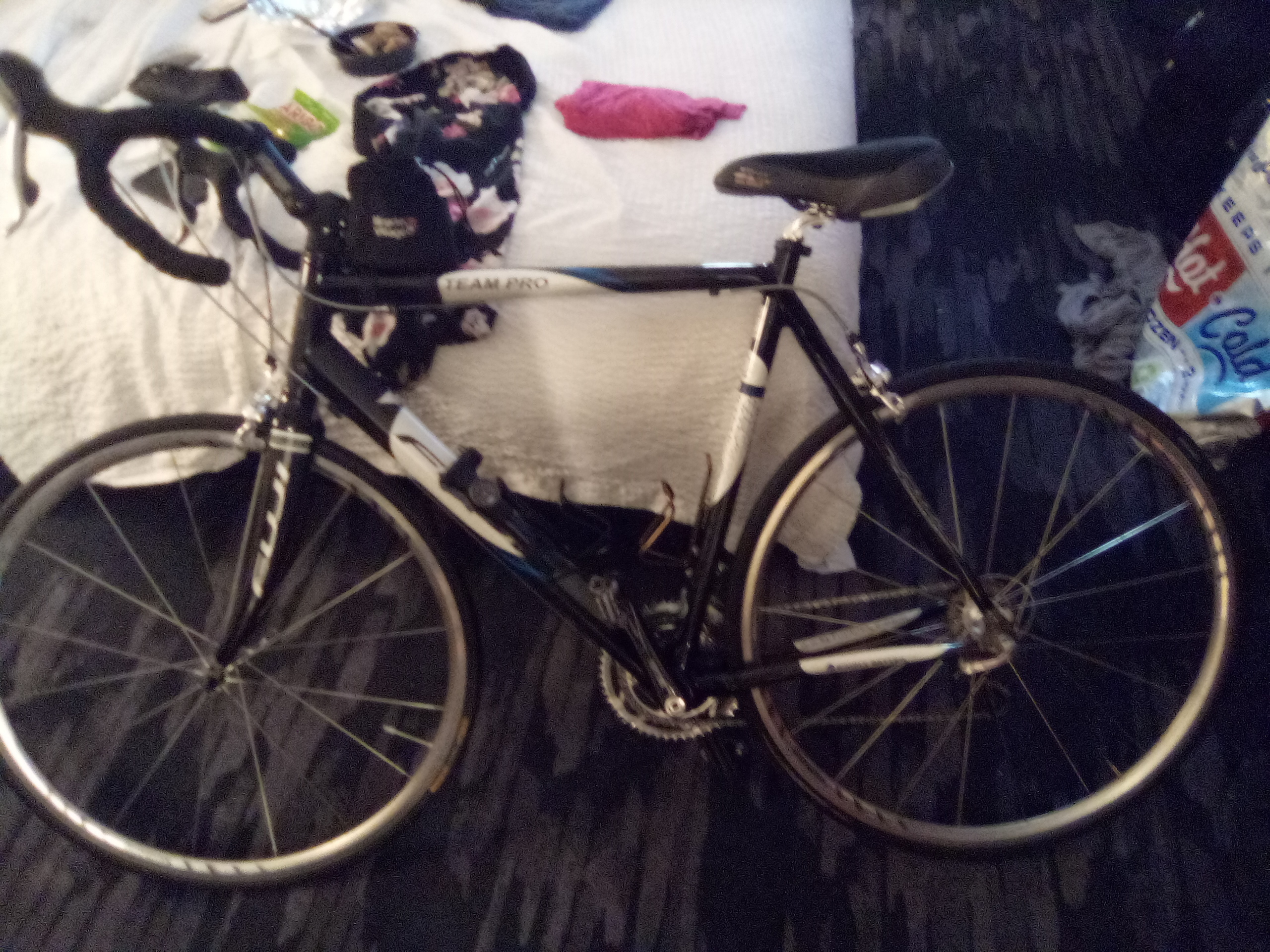 2019 Fuji Team Pro Frame