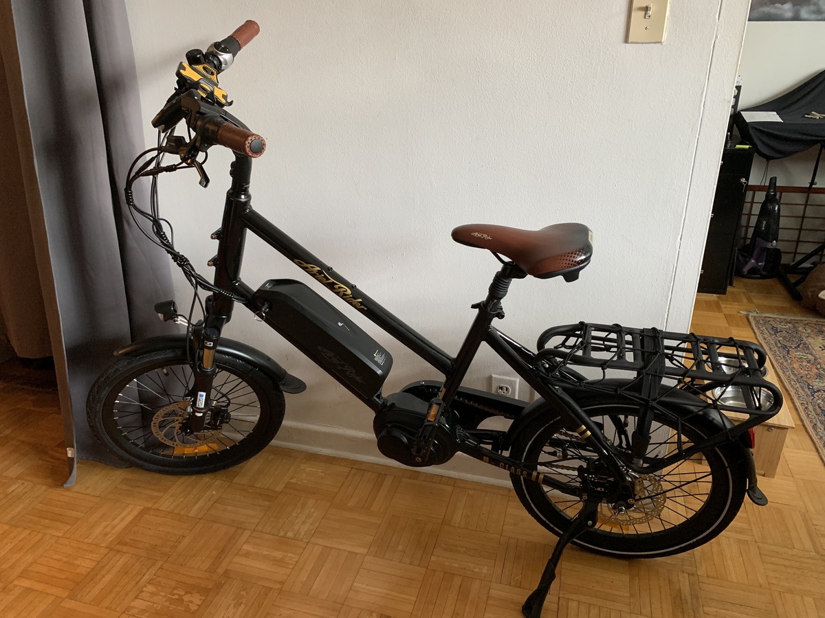 2020 Ariel Rider M Class