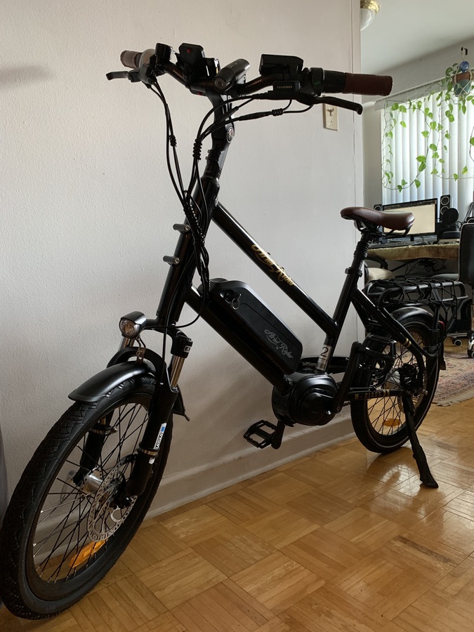 2020 Ariel Rider M Class