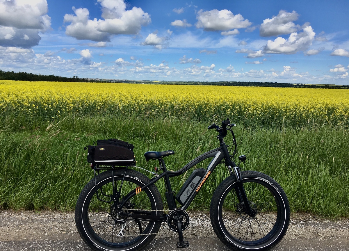 2019 Rad Power Bikes