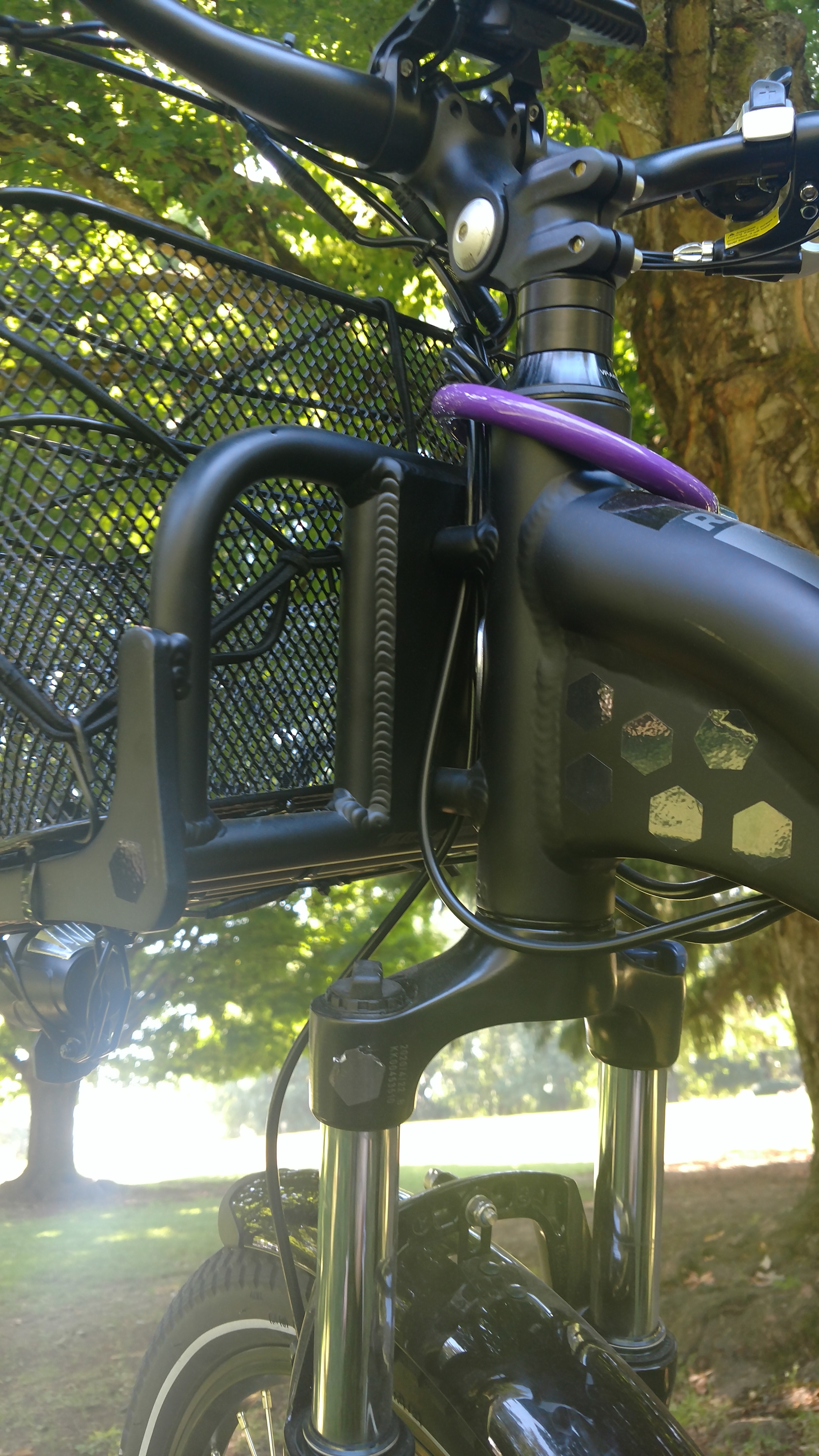 2020 Rad Power Bikes RadCity StepThrough
