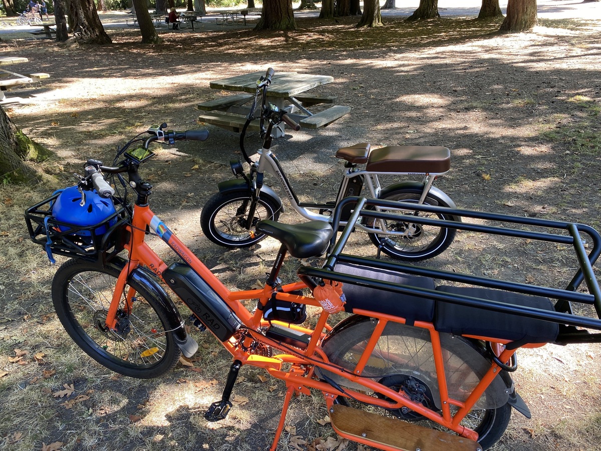 2018 Rad Power Bikes RadWagon