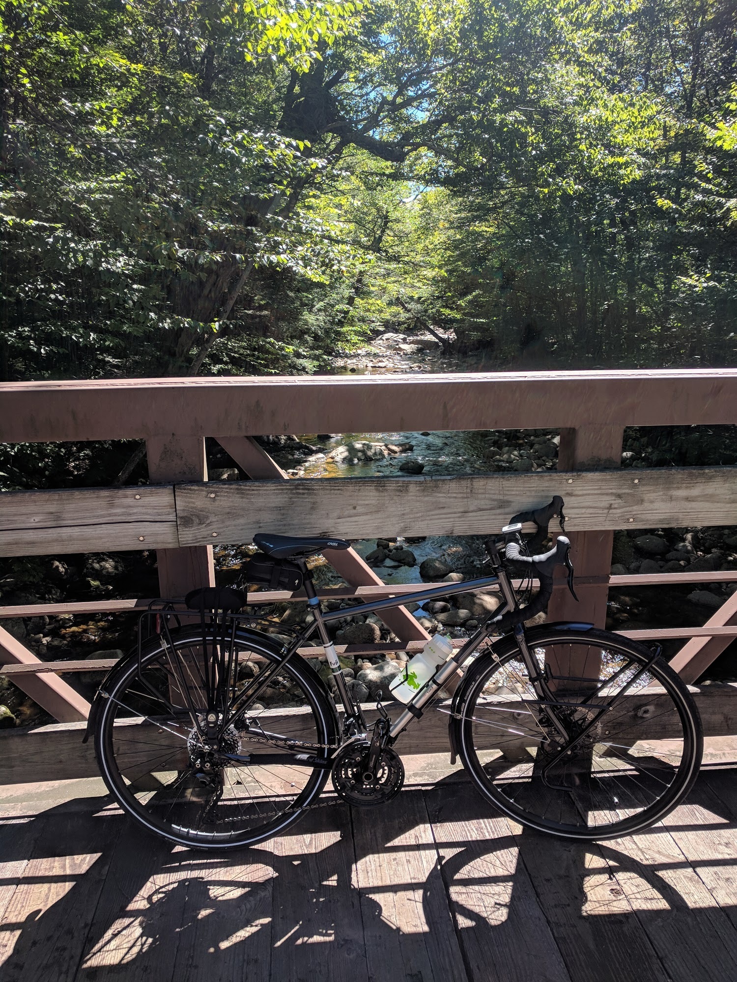 2019 Fuji Touring Disc