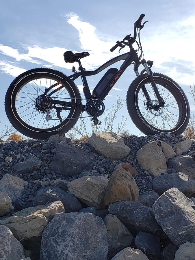 2020 Rad Power Bikes rad rover