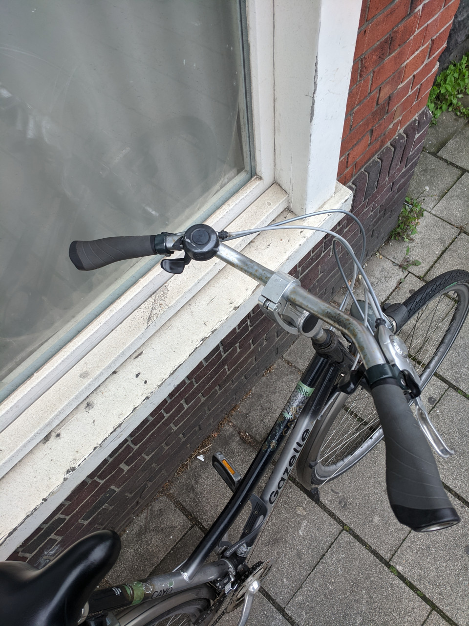 Gazelle Cayo Track & Trail