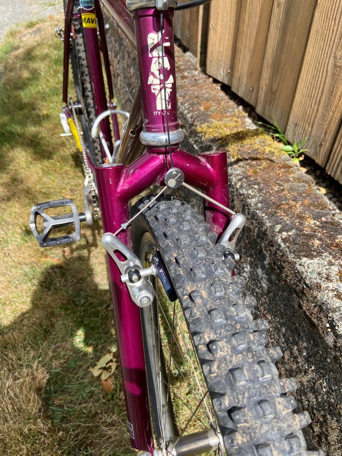 1989 Fat City Cycles Wicked Fat Chance