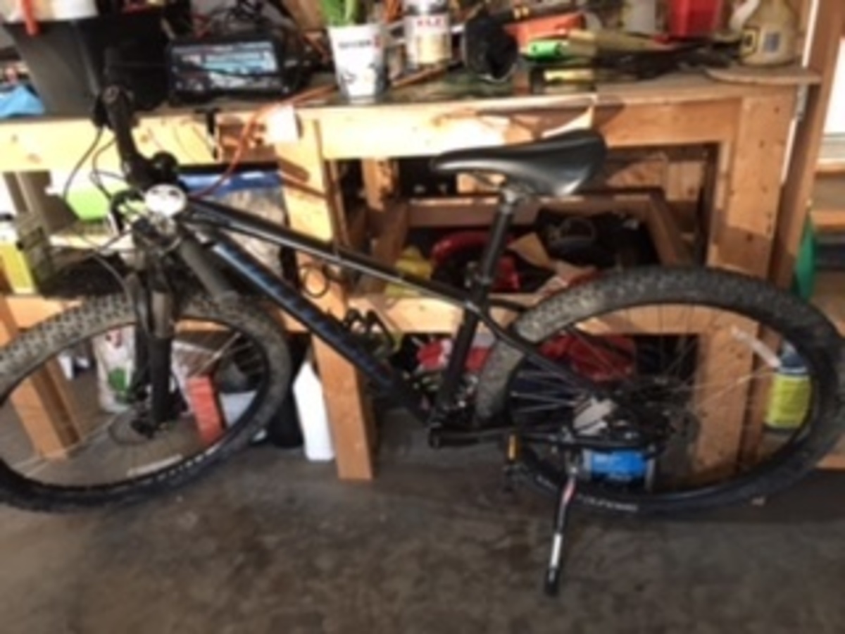2019 Specialized Expert Blk Med
