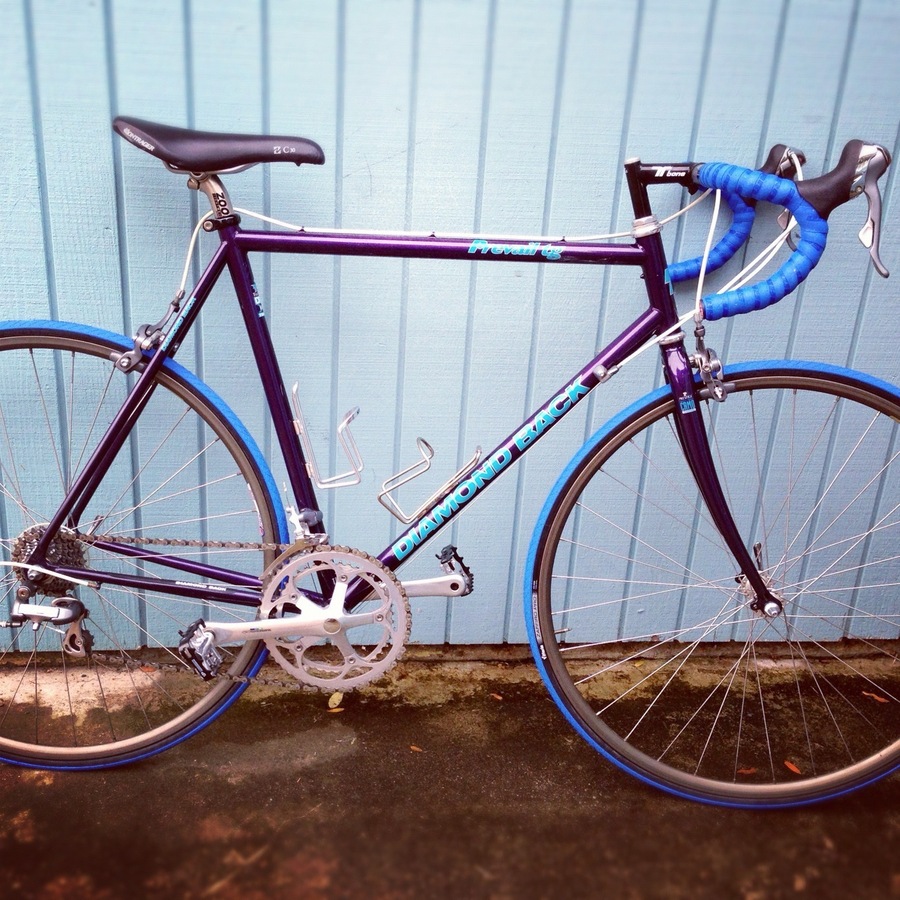 1993 Diamondback Prevail TG