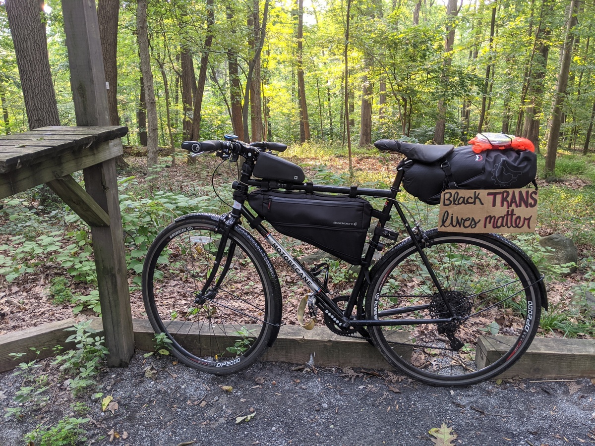 2019 Motobecane Cafe 11