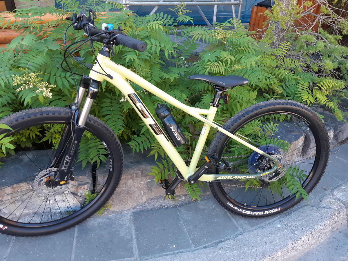 2020 GT Bicycles Avanlance elite