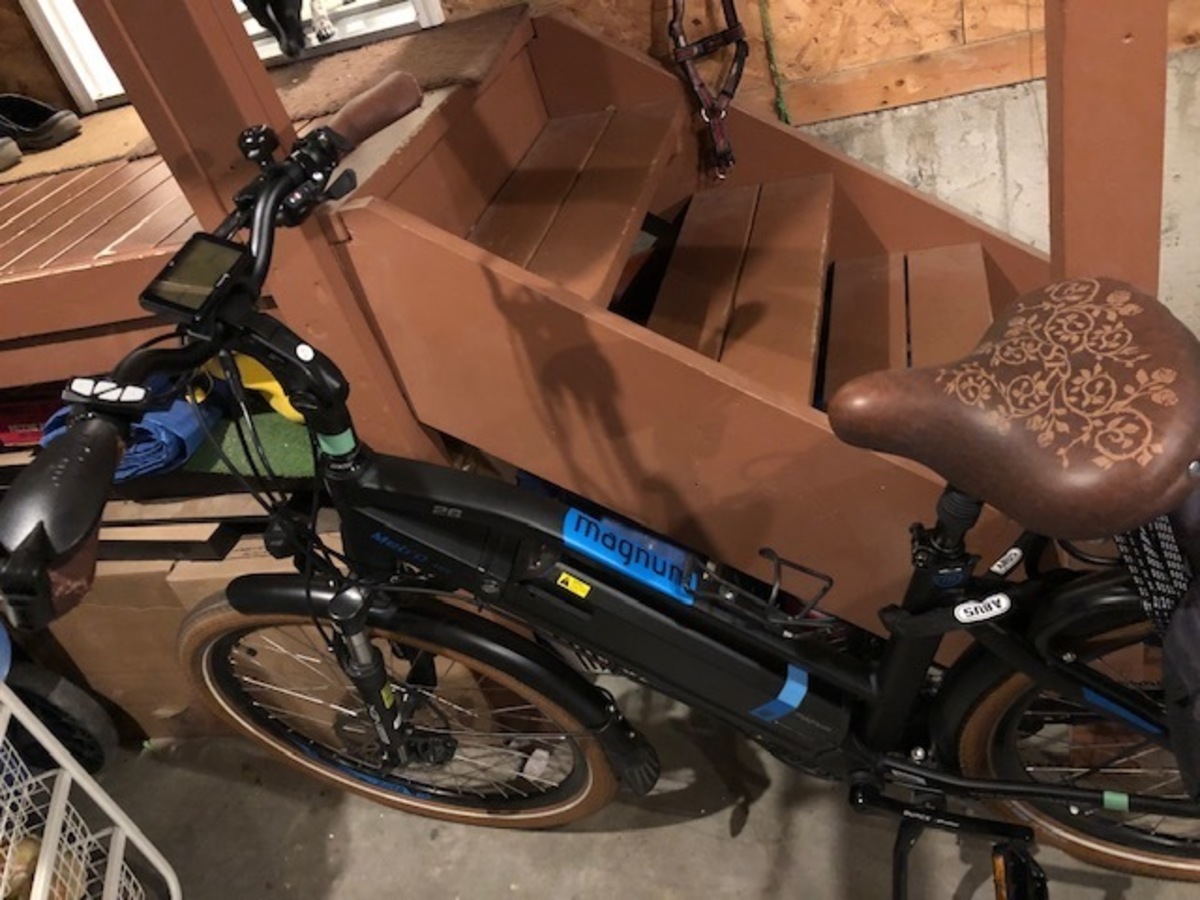 2020 Magnum Bikes Step through