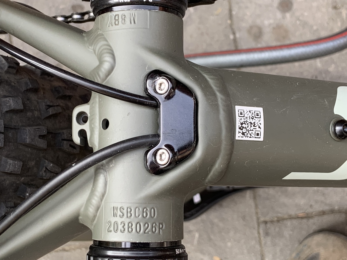 2020 Specialized Fatboy