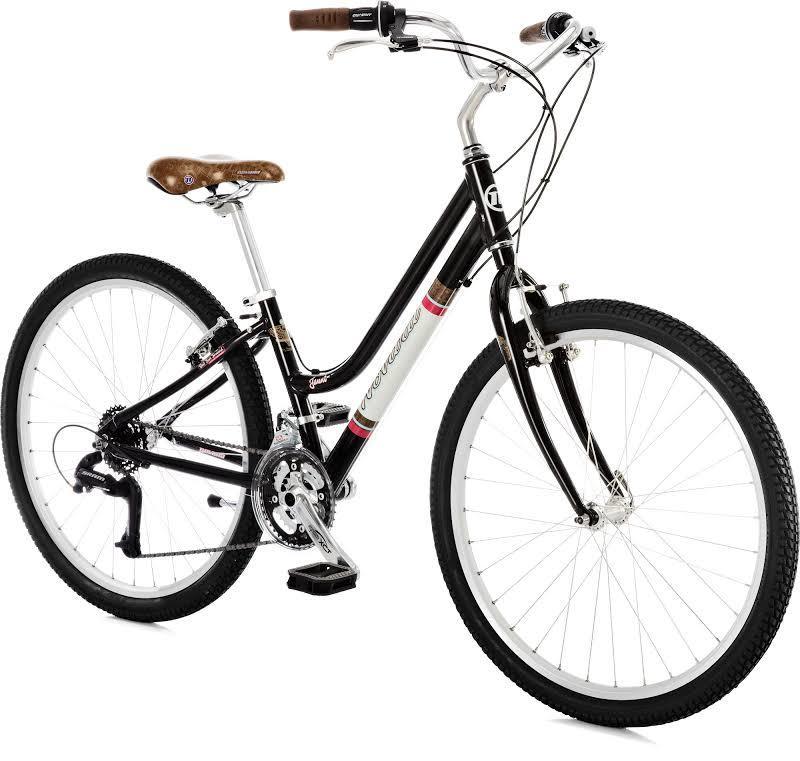 Stolen 2015 Novara cruiser