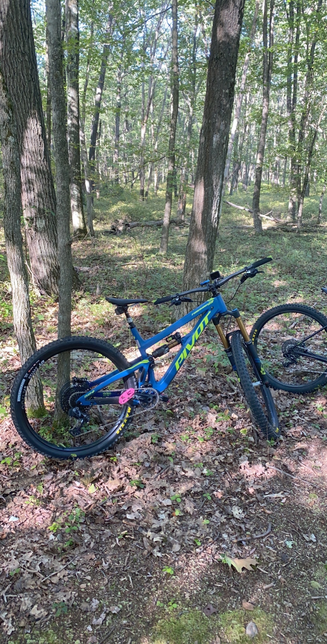 2020 Pivot Firebird 29