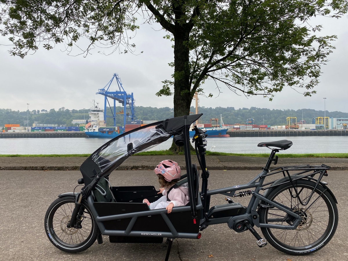 2020 Riese und Müller WRJ2LD3M4LD100200 cargo bike