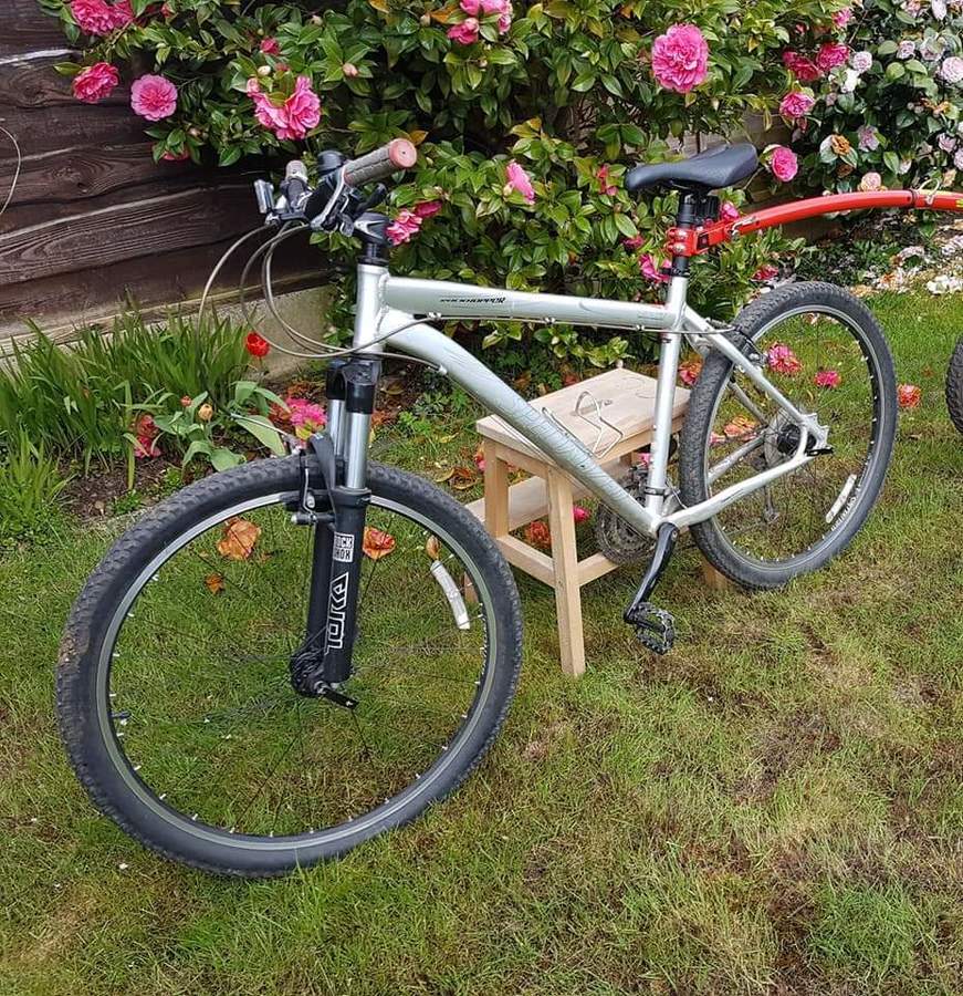 Stolen 2005 Specialized Rockhopper Comp Disc