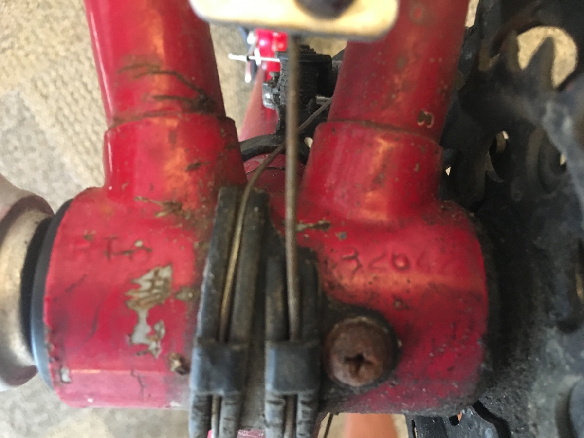 Ross Ross Hi-Tech Mt. Whitney