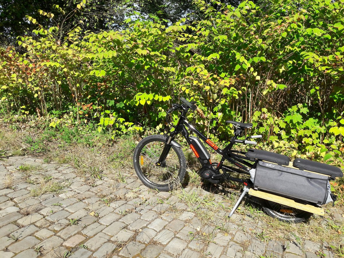 2020 Yuba 2020 cargo bike rear