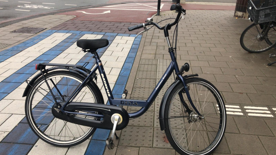 Batavus Personal Bike