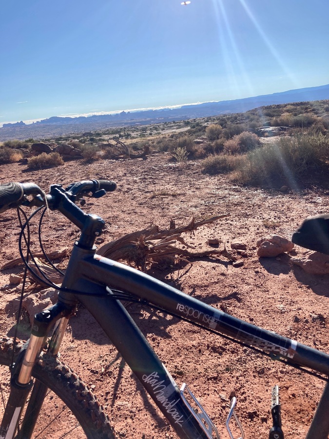 Diamondback Response