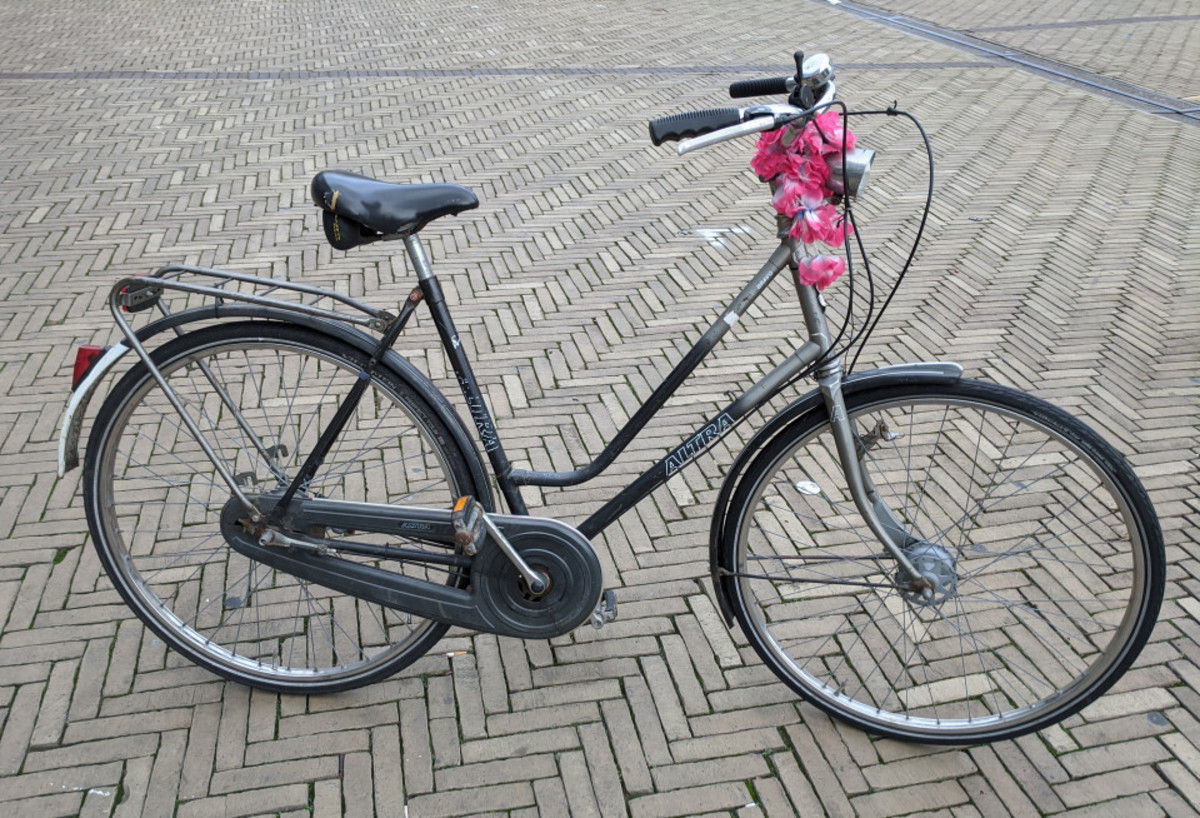 Other Altra Bravo