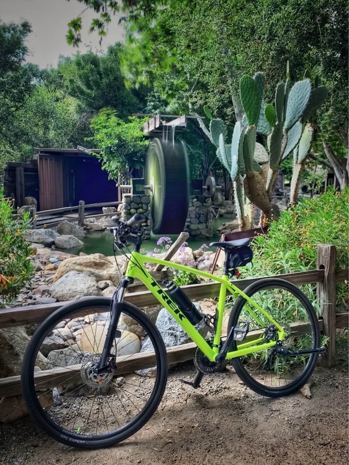 2020 Trek Dual Sport 3