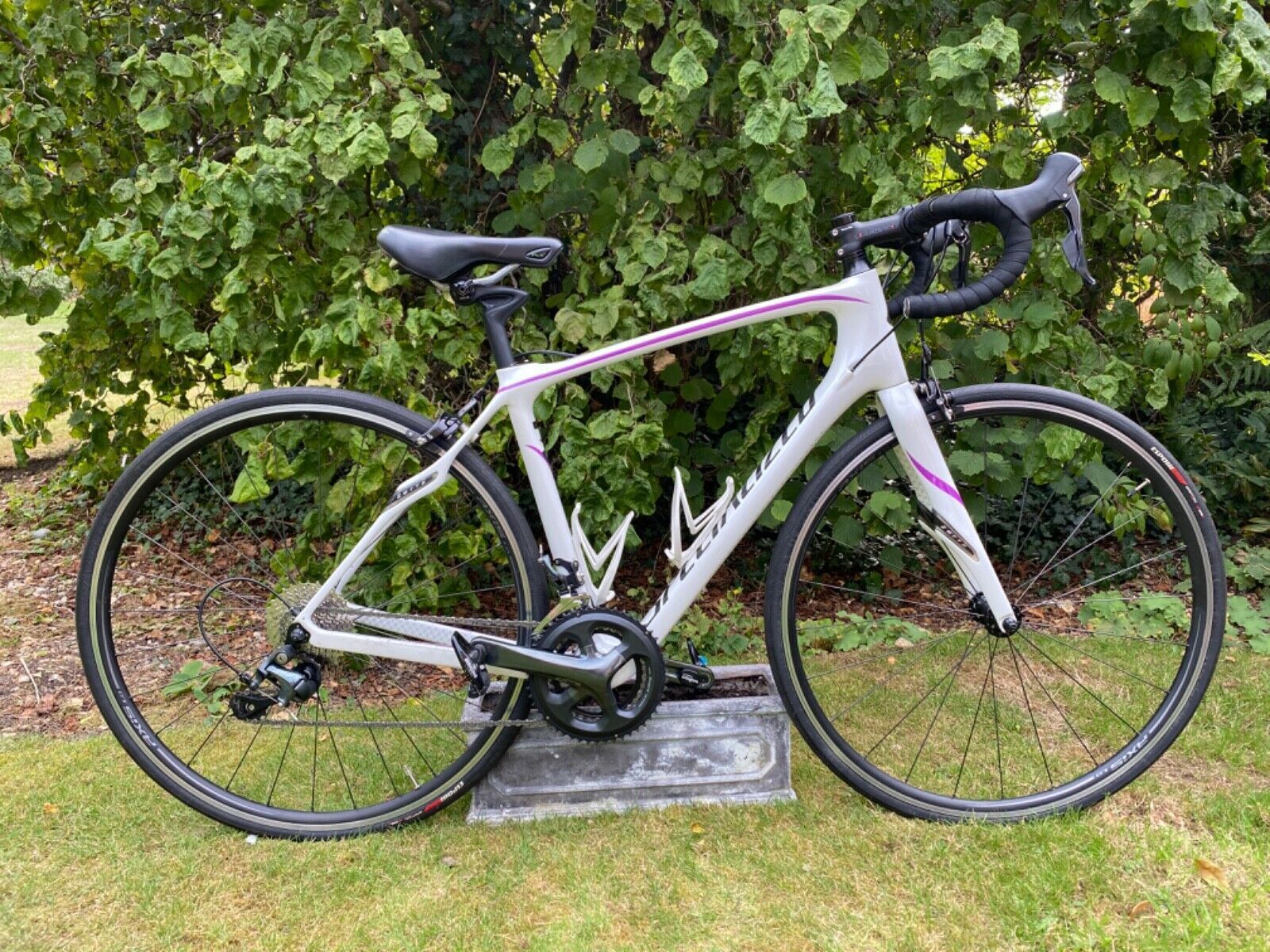 Stolen Specialized Ruby Pro