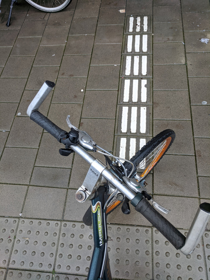 Gazelle Impulse