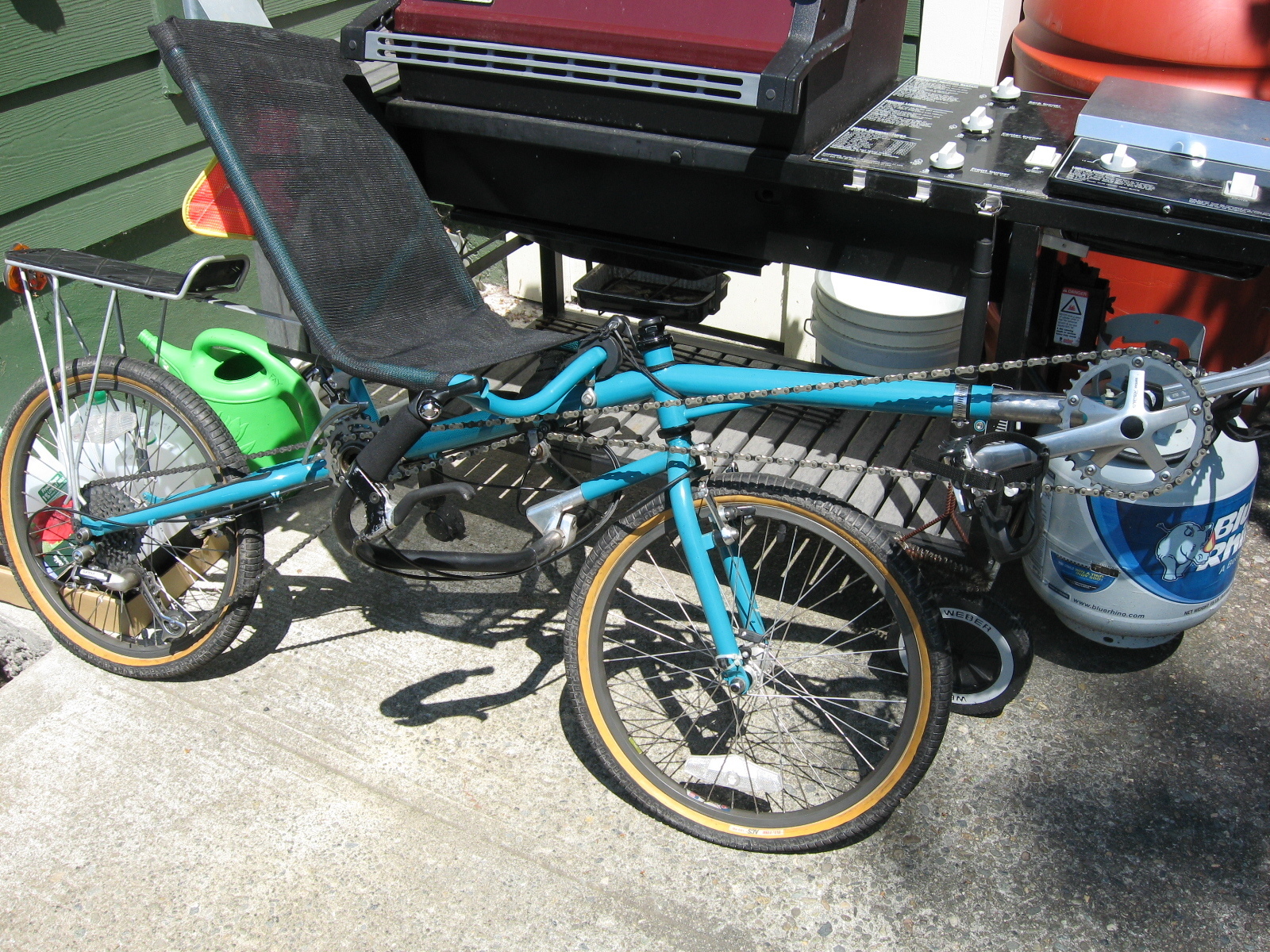 Other recumbent (custom)