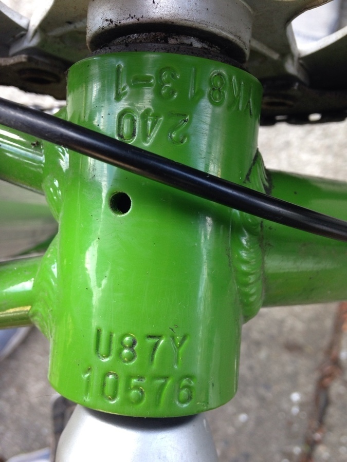 Novara Transfer (Green Bike Project)