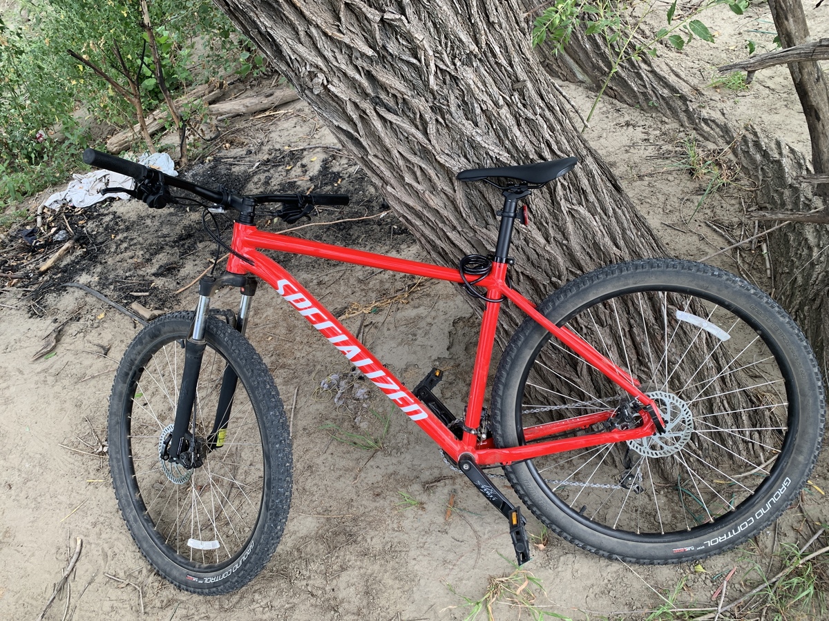 2020 Specialized Rockhopper 29