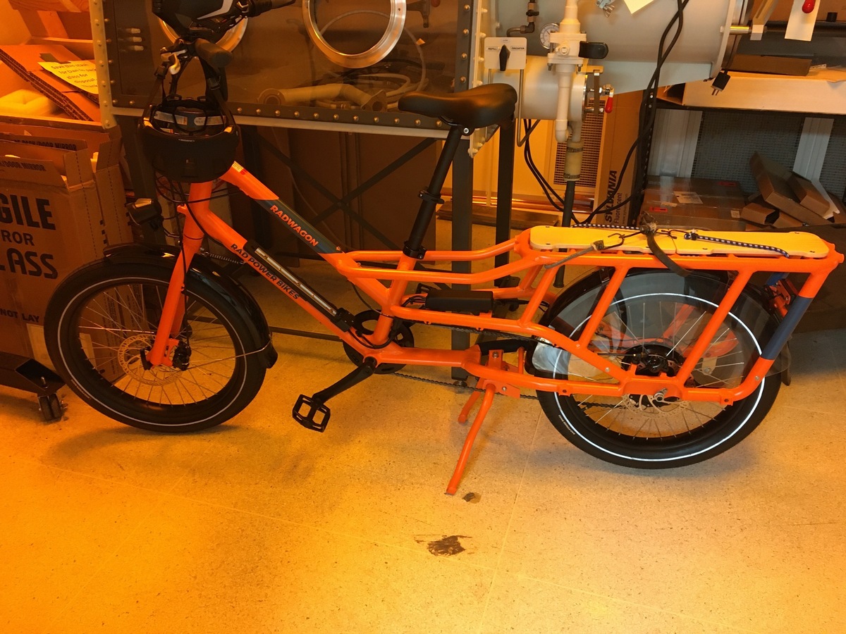 2020 Rad Power Bikes Radwagon 4 cargo bike rear