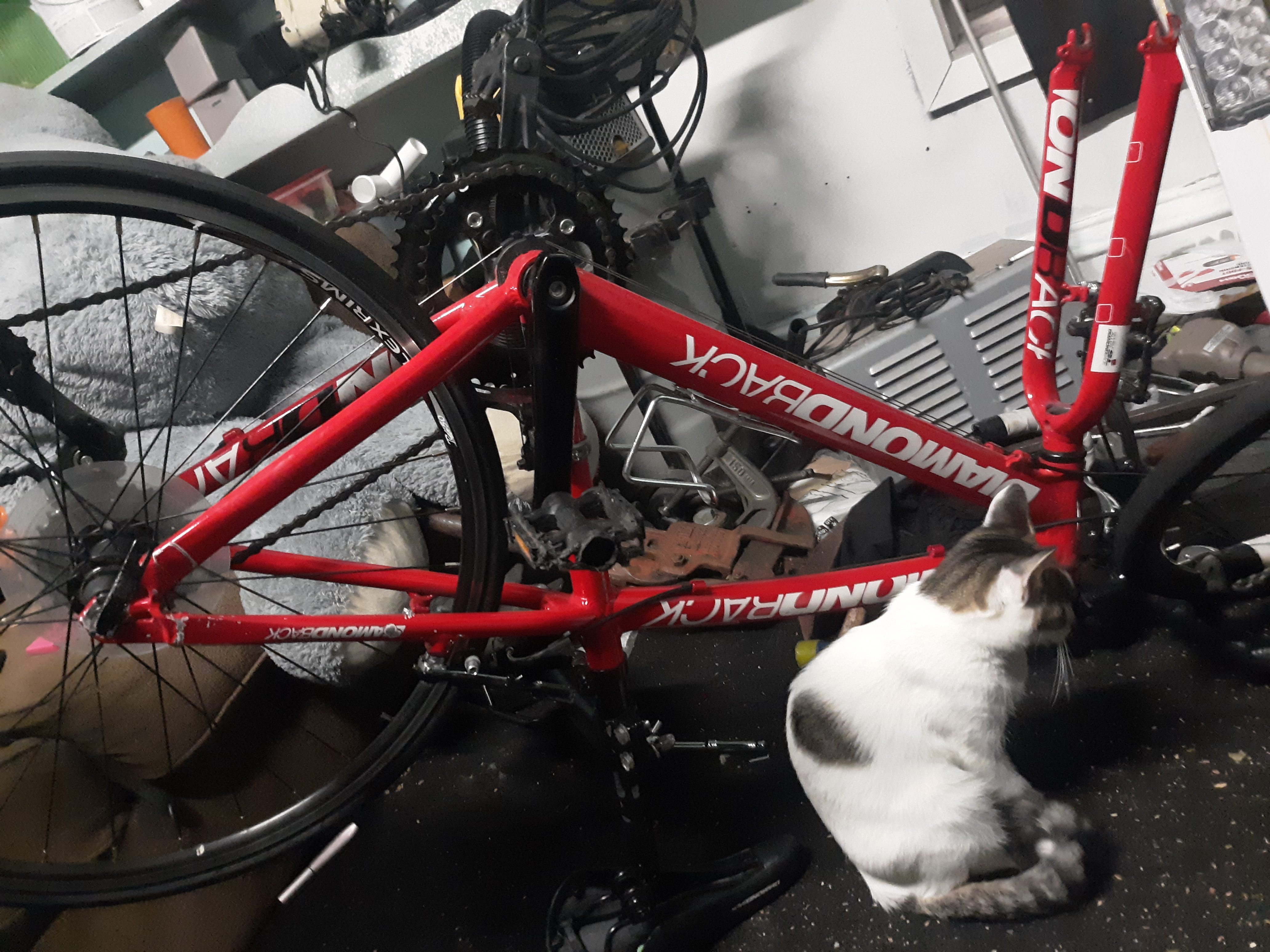 2018 Diamondback Road Bike