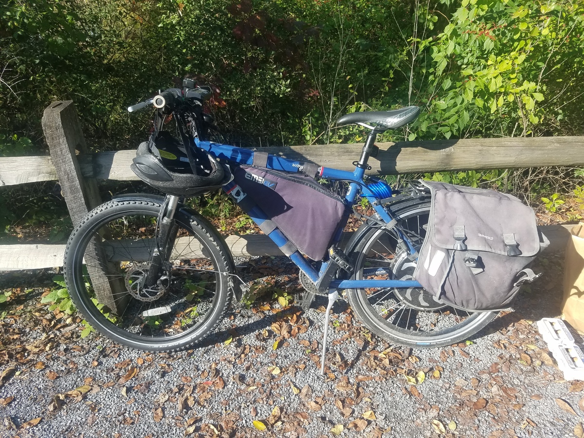 Diamondback Response