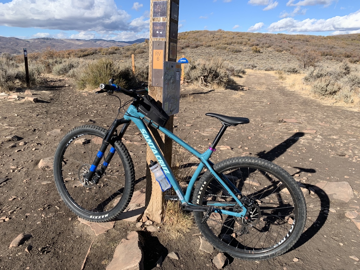 2019 Santa Cruz Chameleon