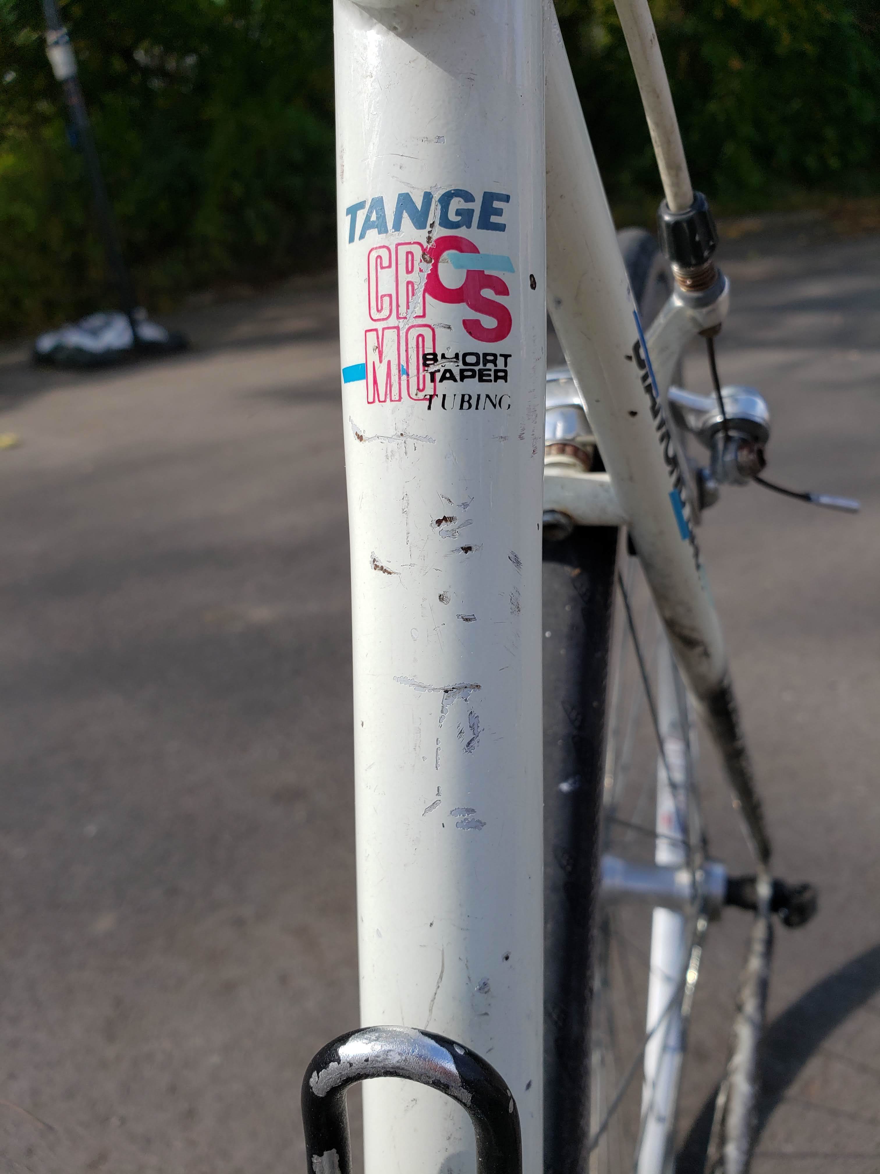 1990 Diamondback Expert TG Centurion