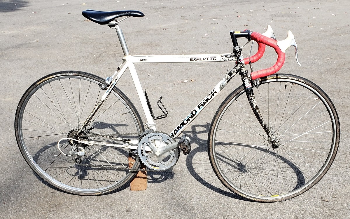 1990 Diamondback Expert TG Centurion